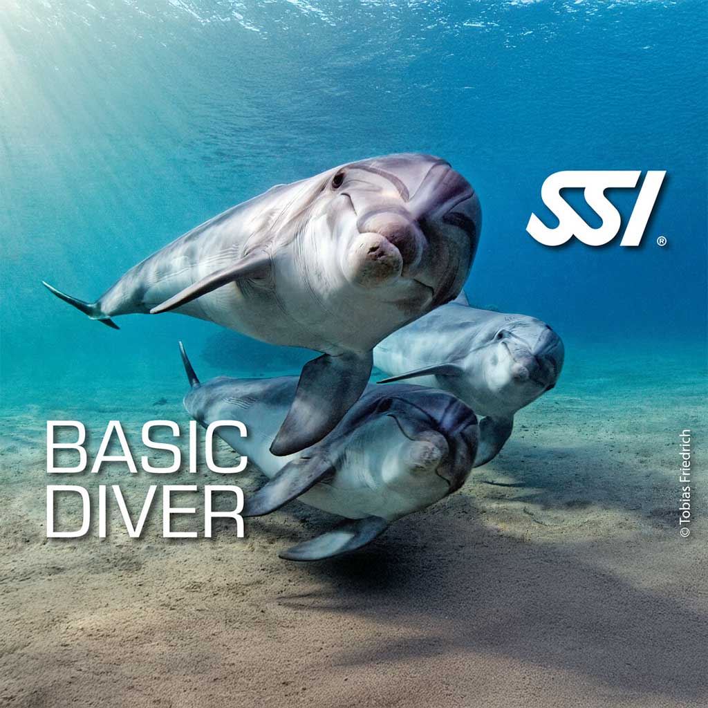 SSI Basic Diver – XR Explorers